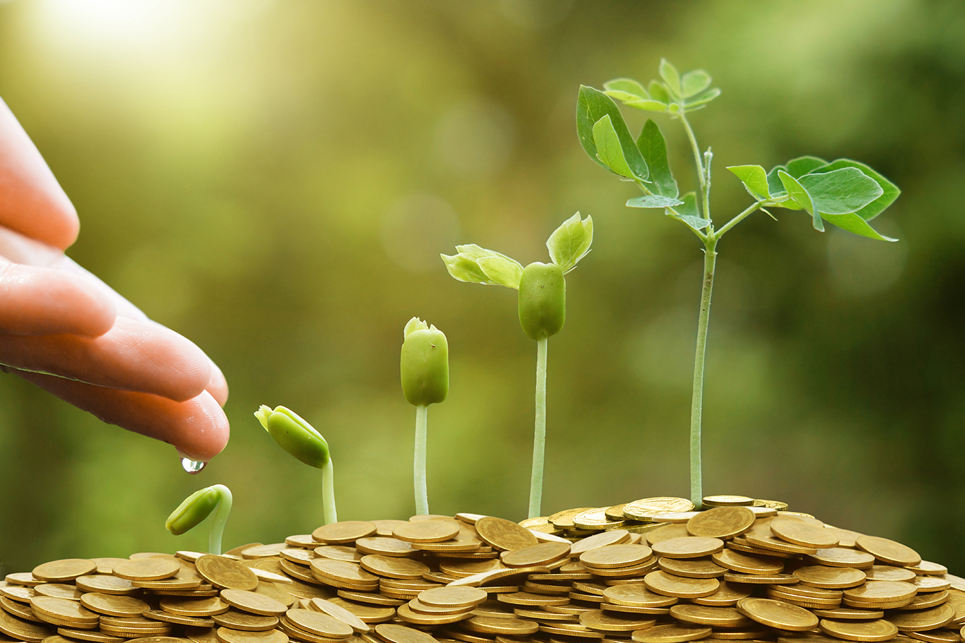 5 beneficios de la inversión productiva - IMEF CDMX